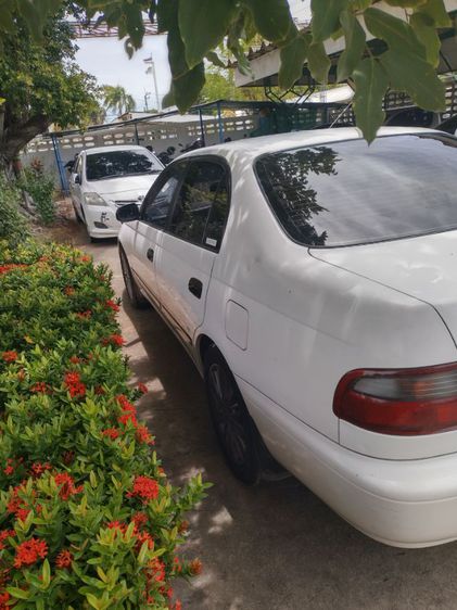 ขายรถtoyota ท้ายโด่ง 190เครื่อง 4a - Kaidee Auto