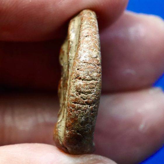 พระซุ้มกอพิมพ์ขนมเปี๊ยะ กรุลานทุ่งเศรษฐี จังหวัดกำแพงเพชรอ ายุ 700 ถึง 800 ปี - Kaidee