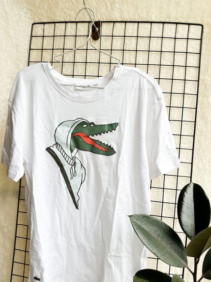 ซื้อ ขาย เสื้อผ้าผู้ชาย ออนไลน์ ราคาถูก หน้า 77 | Kaidee