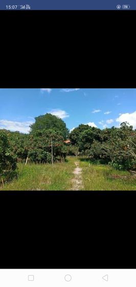 ขายที่ดิน อ.พร้าว จ.เชียงใหม่ - 369040367 - Kaidee