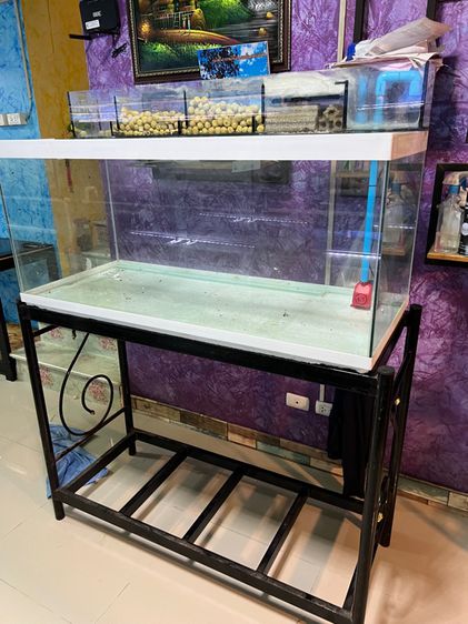 ตู้ปลา48นิัว 2ใบ 3500 - Kaidee