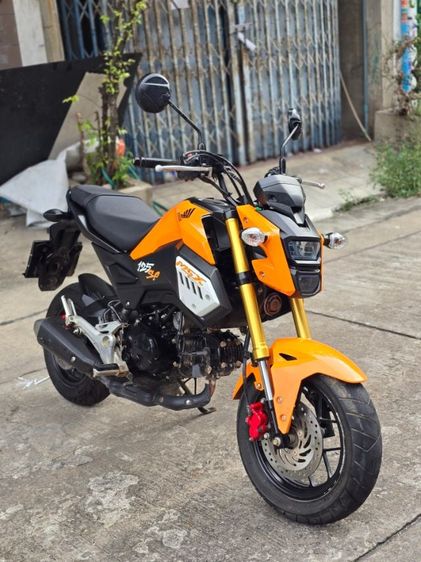ซื้อ ขาย มอเตอร์ไซค์ Honda MSX ออนไลน์ ราคาถูก | Kaidee