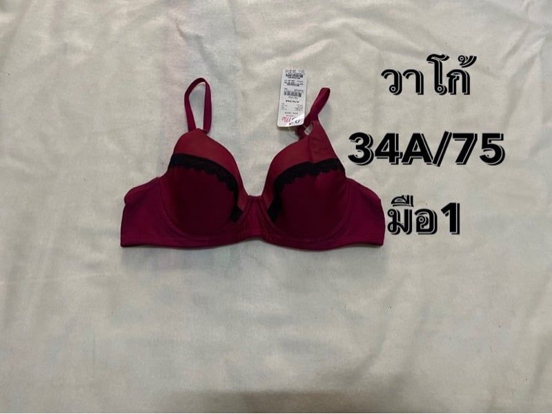 🌻เสื้อในวาโก้🌻ไซส34A75 มือ1 - Kaidee