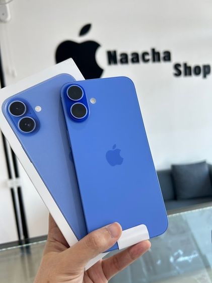 iPhone 16 Plus สีฟ้า - Kaidee