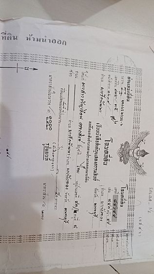 ที่ดิน50ตรว. - Kaidee