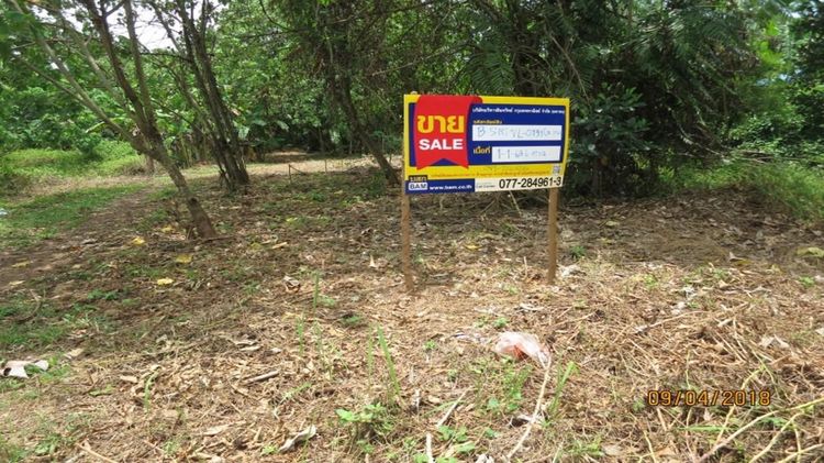 💖 ที่ดิน เมืองสุราษฎร์ธานี ราคาพิเศษ! 💖 - 370491050 - Kaidee