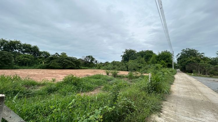 ขายที่ดิน - Kaidee