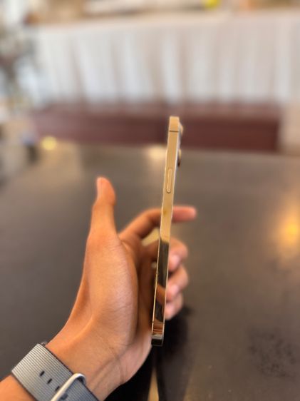 iPhone 13 Pro Max 256GB CH A ไม่ไช่เครื่องรีเฟอร์ แท้ทั้งตัว - Kaidee