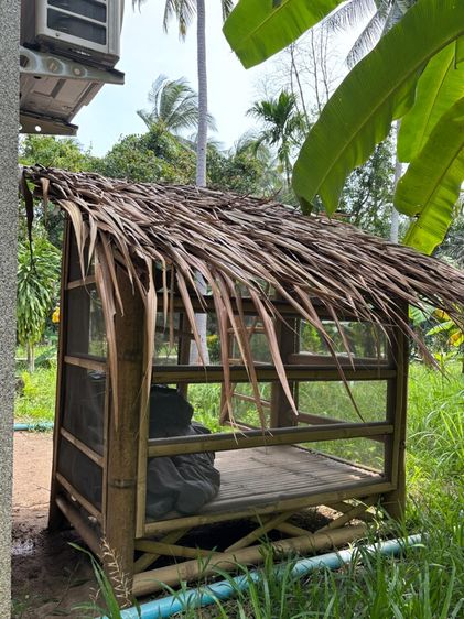 Dog house pet house - Kaidee