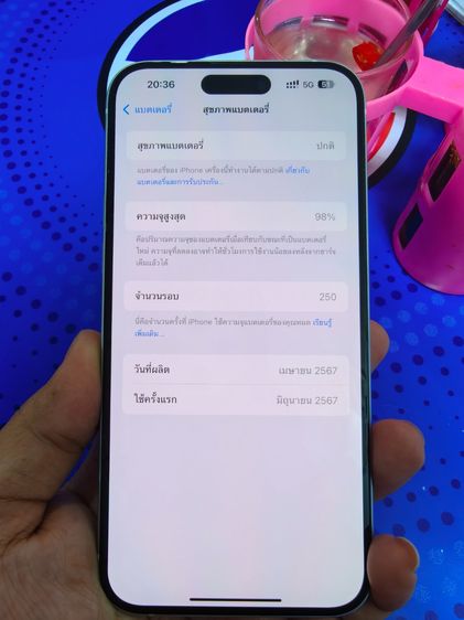 iPhone 15 plus 256 GB เครื่องไทย สีฟ้า - Kaidee