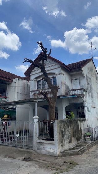 ขายบ้านเดี่ยวหลังมุม หมู่บ้านวรนุช เพชรเกษม 68 แยก 31 ทำเลดี เดินทางสะดวก ใกล้ MRT บางแค ...