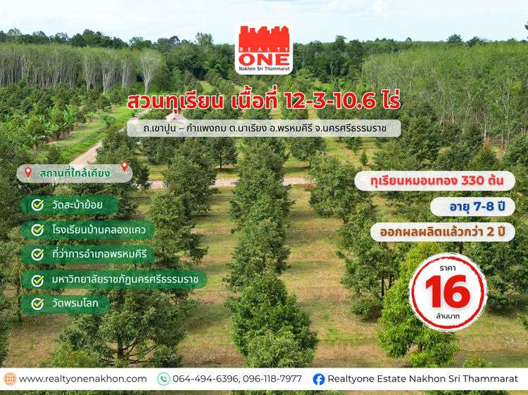 สวนทุเรียนหมอนทองพร้อมผลผลิต เนื้อที่ 12 ไร่ 3 งาน 10.6 ตารางวา - 371026930 - Kaidee