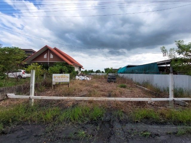 ที่ดิน 100 ตารางวา 1งาน - 371036071 - Kaidee